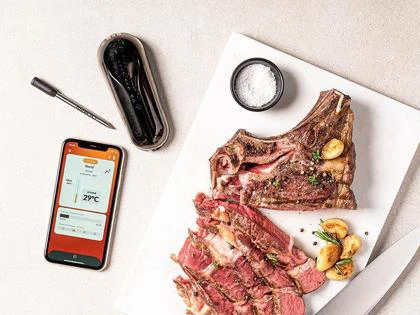 Mastrad Stegetermometer