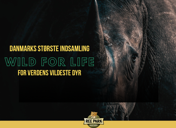 WildForLife - Ree Park Safari